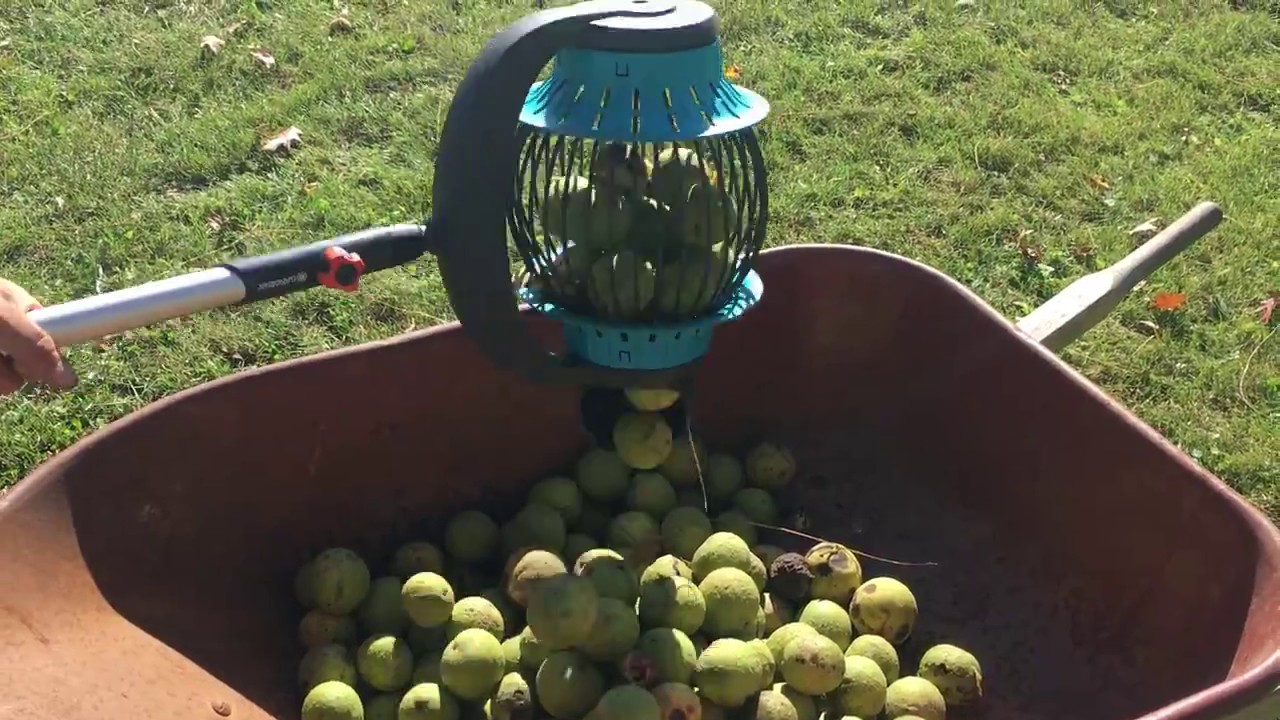 Combisystem 130 Speed Walnut Picker Up Gardena 03108-20 - YouTube