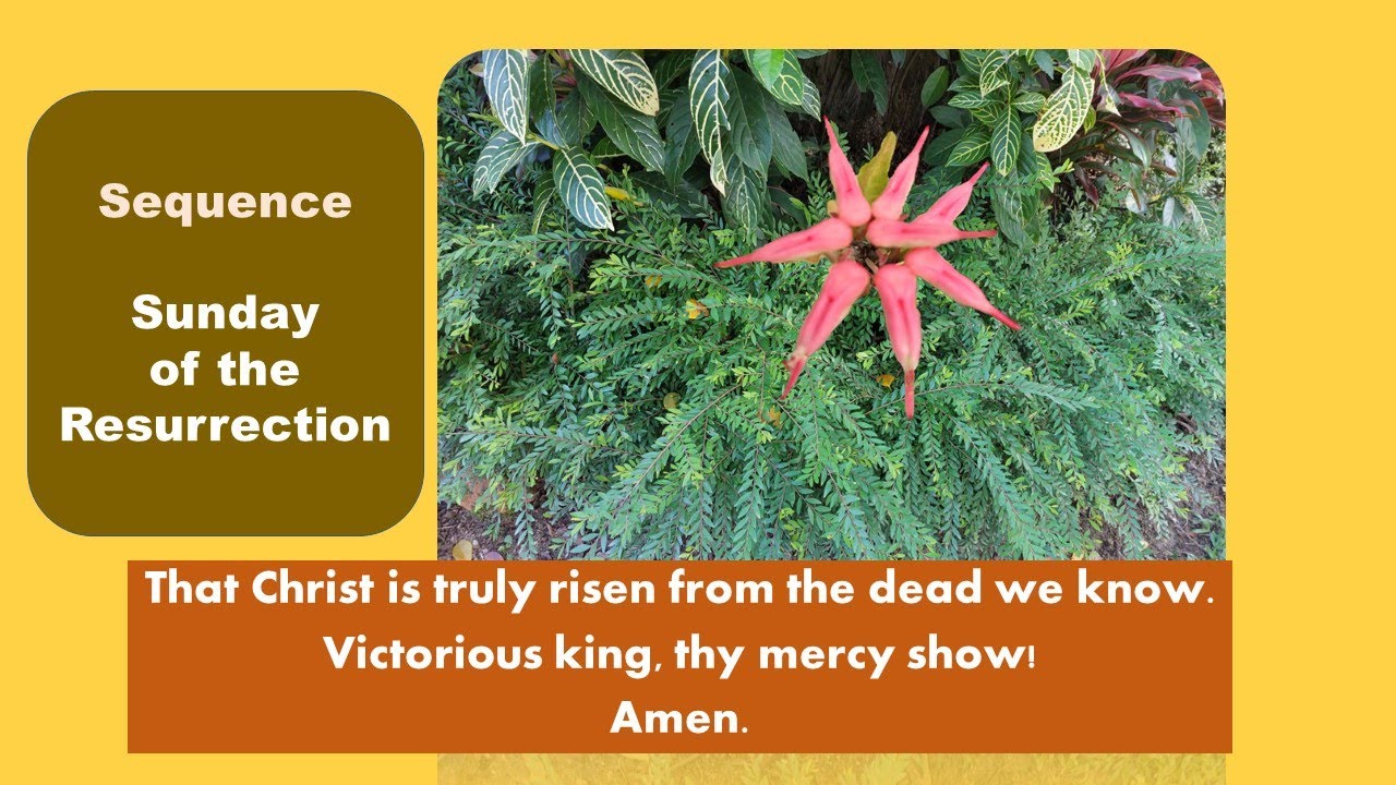 Sequence - Easter Sunday of the Resurrection - YouTube