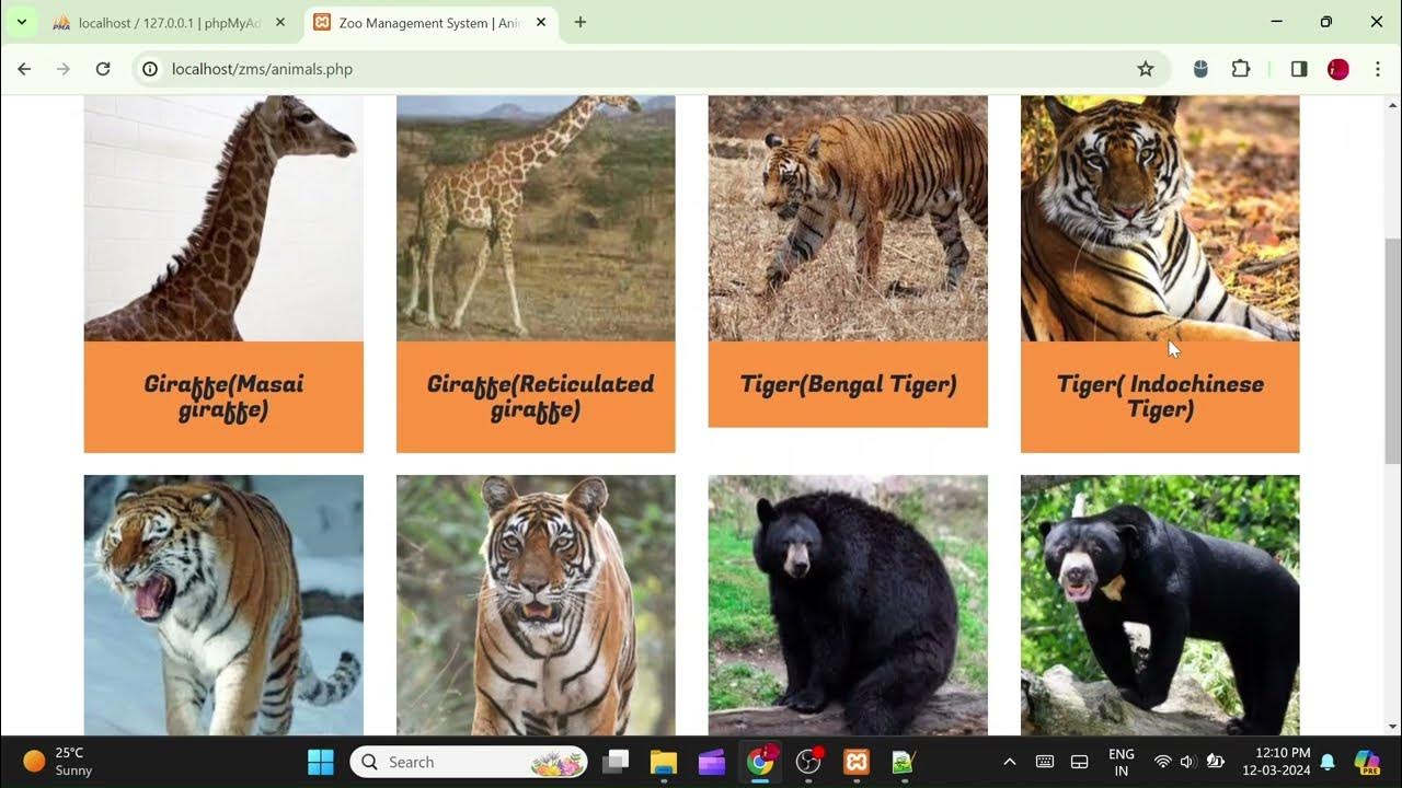 Zoo Management System Complete Project With Project Report, PPT ...