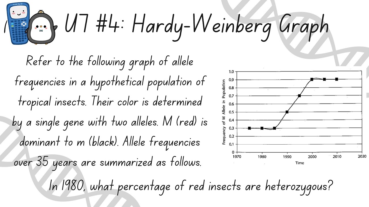 MM28 AP Bio Math Minute: Hardy-Weinberg using a Graph - YouTube