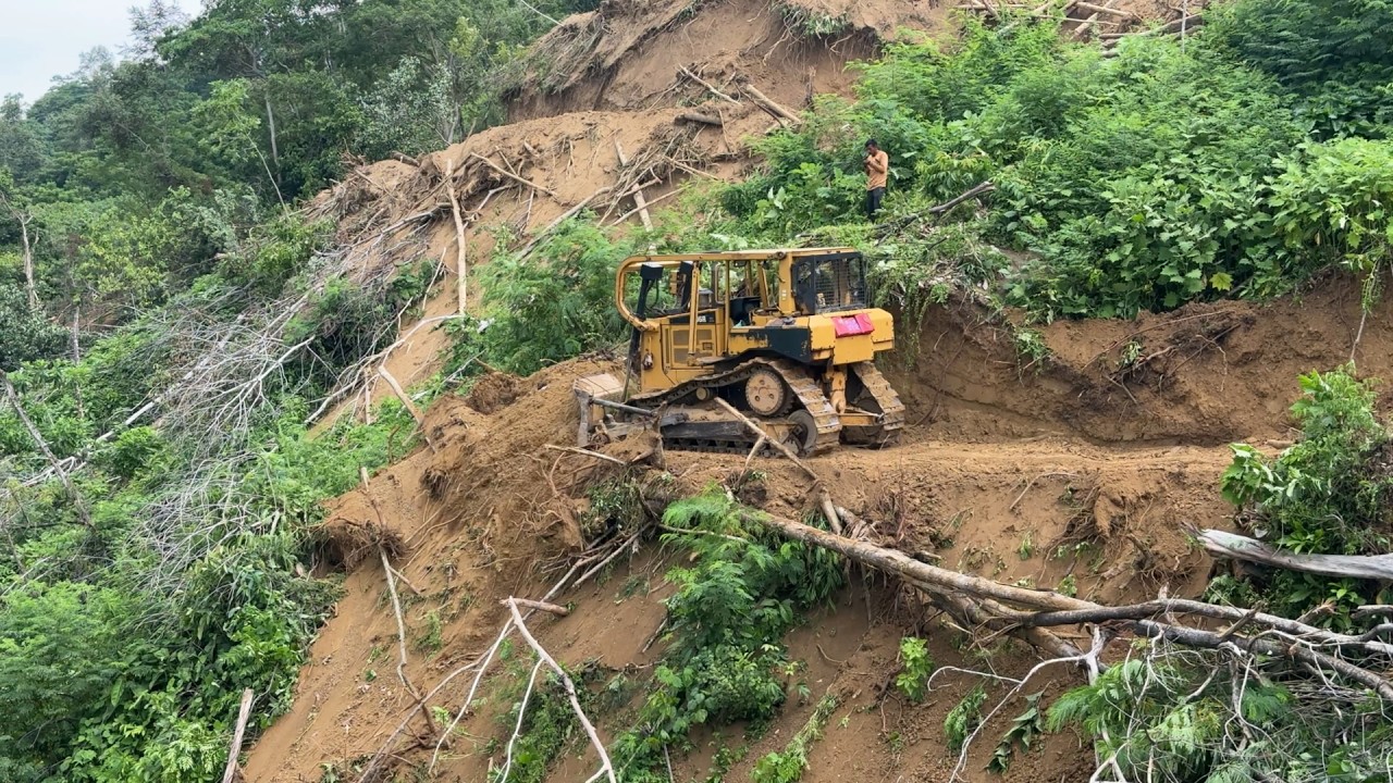 Forming an Oil Palm Terrace on a Mountain Slope with a D6R XL Bulldozer ...