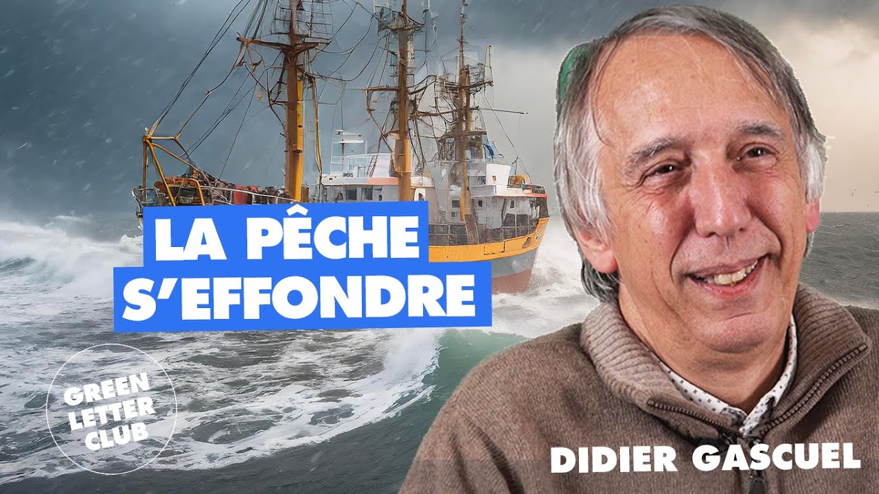 #88 - POURQUOI LE CHANGEMENT CLIMATIQUE DÉTRUIT LA PÊCHE ? - YouTube
