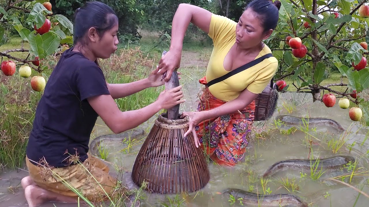 Catch a lot big fish and pick wild apple for food with My Natural Food ...