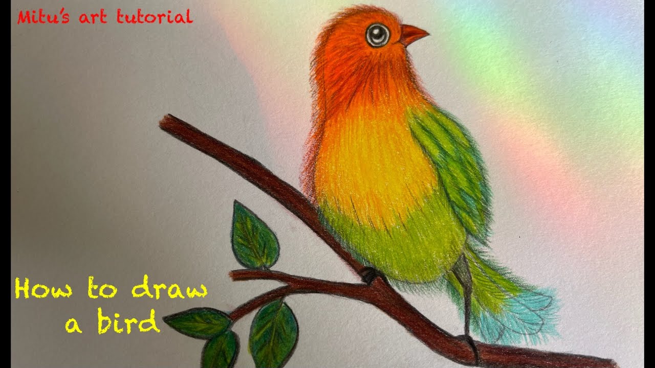 Bird drawing || How to draw bird step by step - YouTube