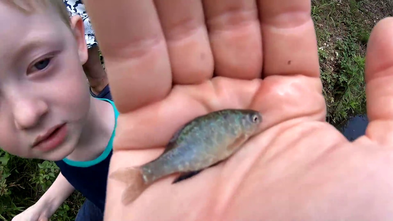 FISHING JAPANESE STYLE - Samurai castles!!! (WT Part 4) - YouTube