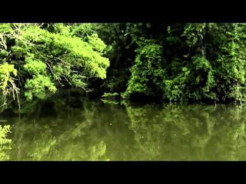 "The Legend of Stuckey's Bridge" video trailer - YouTube