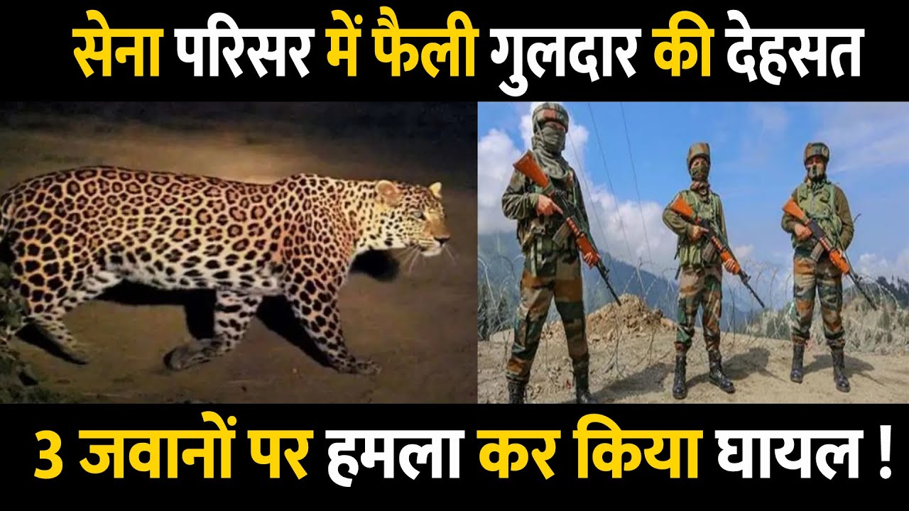 Lansdowne Indian Army Cantt | Three Jawans Injured in Guldar Attack ...