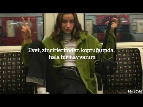 Miike Snow - Animal (Türkçe Çeviri)