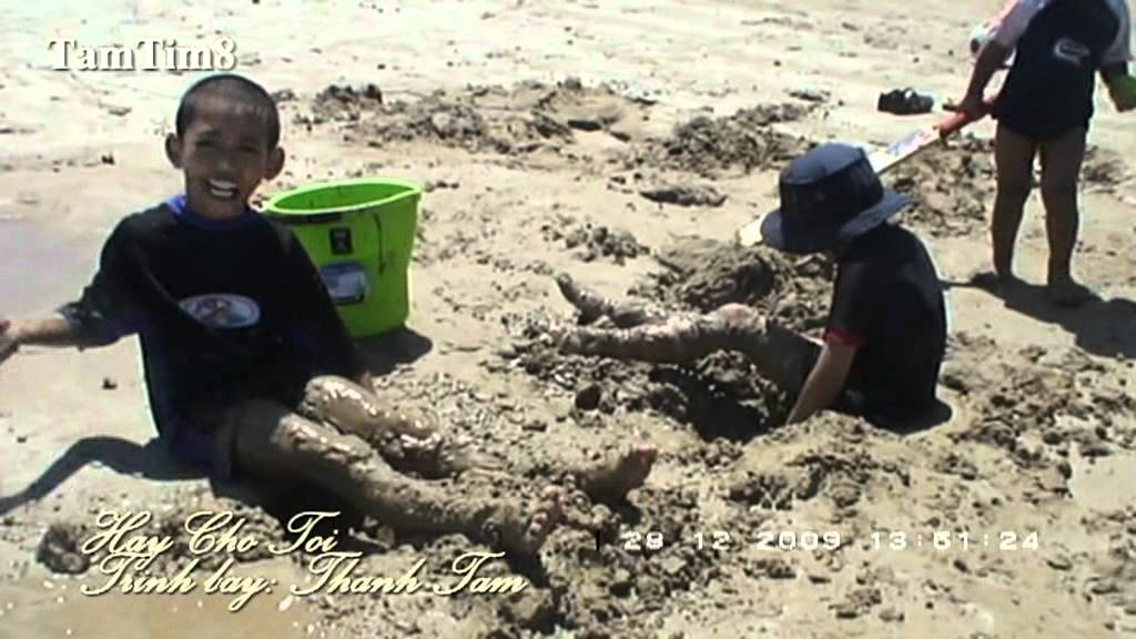 Catching Pipis In South Australia - Đi bắt nghêu ở Nam Úc - YouTube