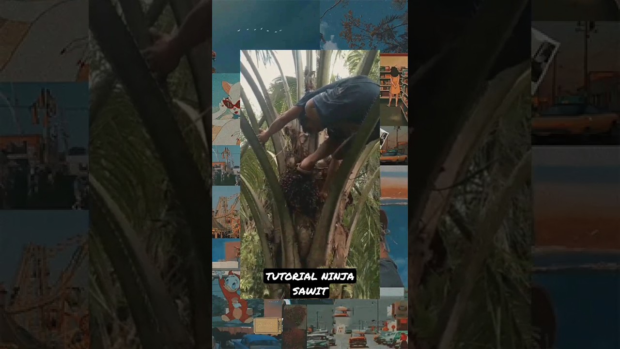 TUTORIAL NINJA SAWIT PAKAI PISAU#shorts - YouTube