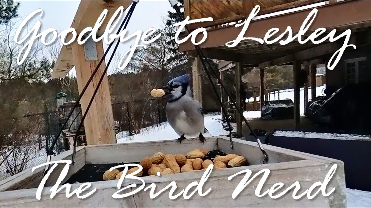 Goodbye to Lesley the Bird Nerd and Happy Birding! - YouTube