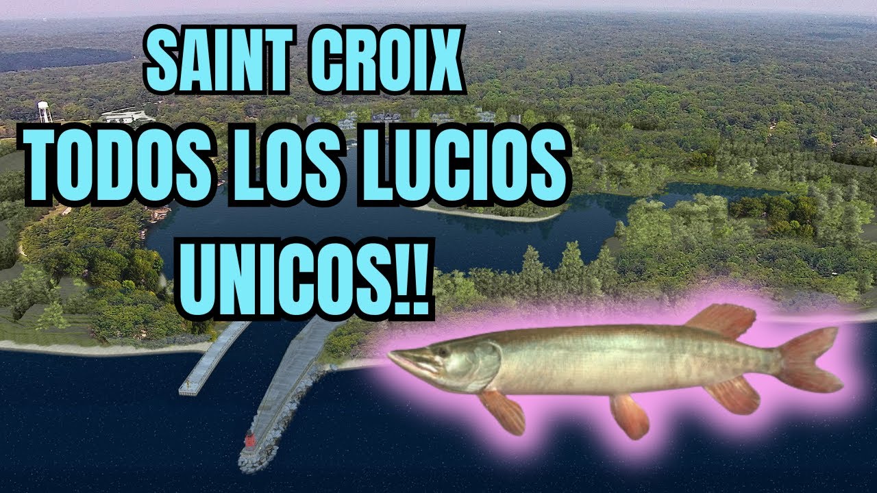 ⭐️LUCIOS UNICOS ¡TODOS!⭐️ 🐋LAGO SAINT CROIX🐋lucio comun, muskie ...