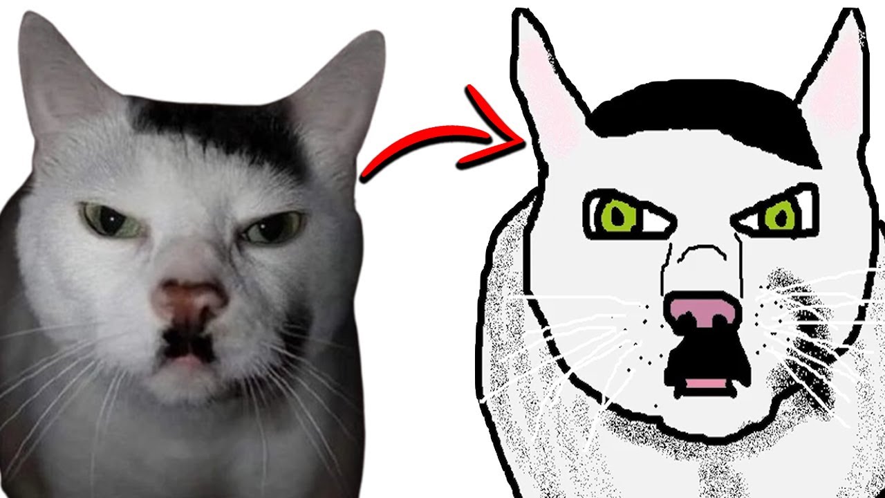 Cats Conspiracy - Mastermind Kitler and Fanart - YouTube
