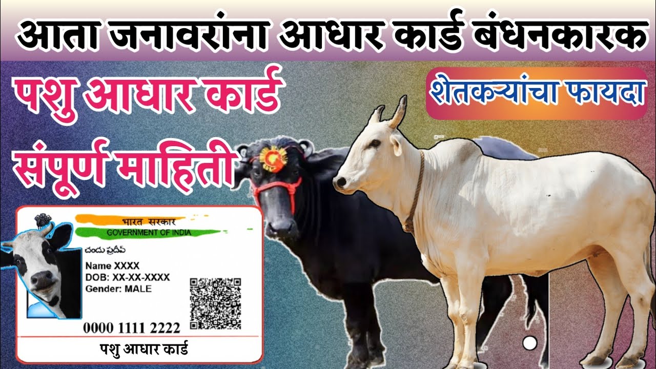 पशु आधार कार्ड | Animal Aadhar card latest update | Caw Aadhar card ...