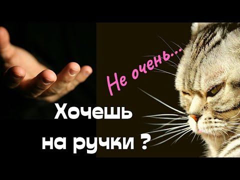 Не любит сидеть на руках. 7 причин и их решения.