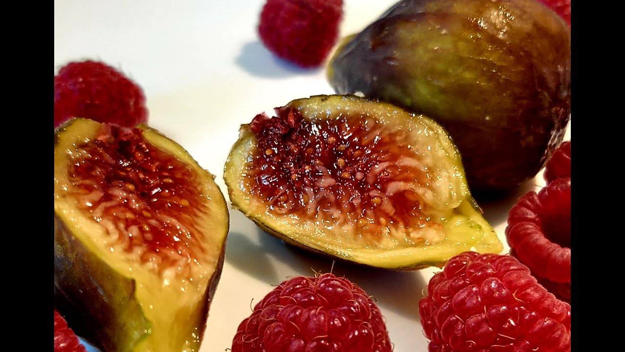 My new fig plants scared me with too many fruits! They are only half ...