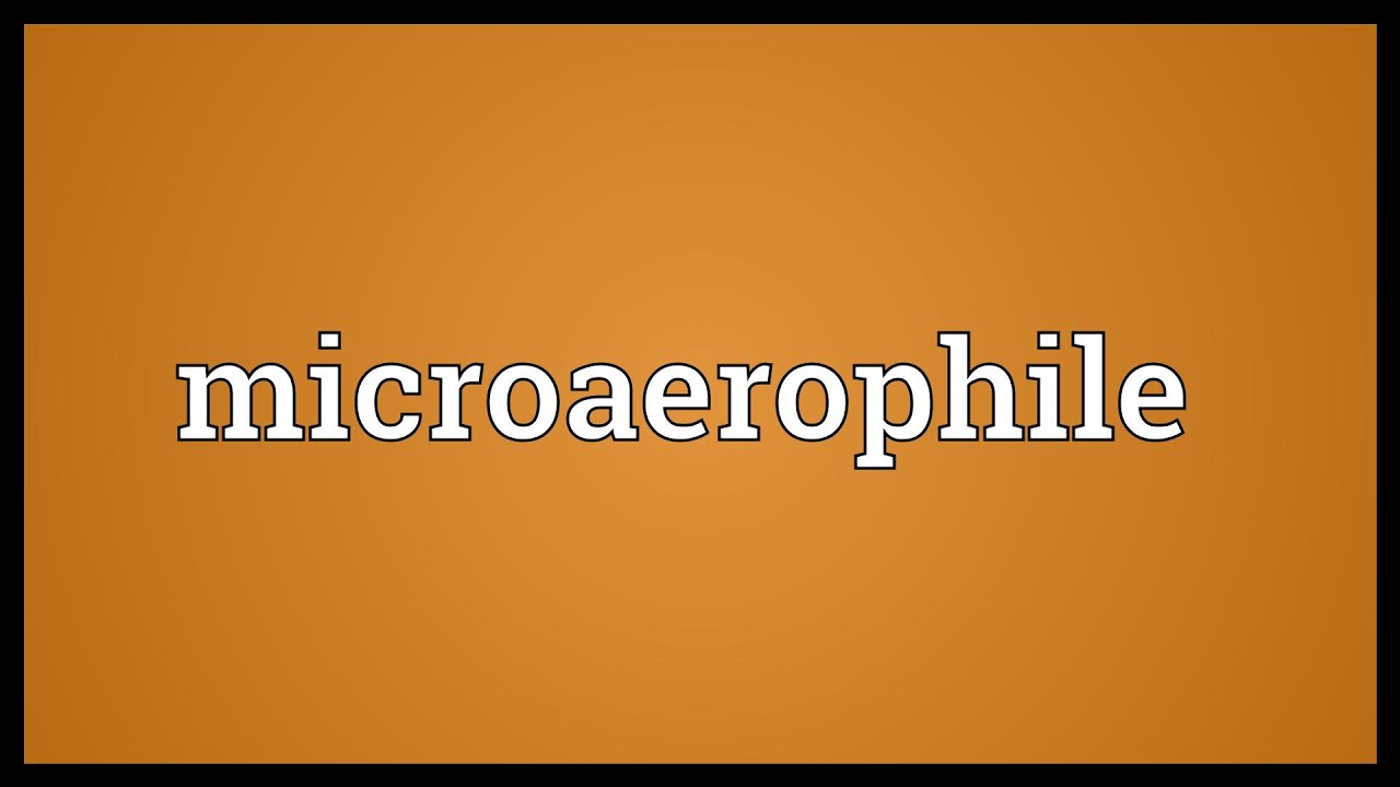 Microaerophile Meaning - YouTube