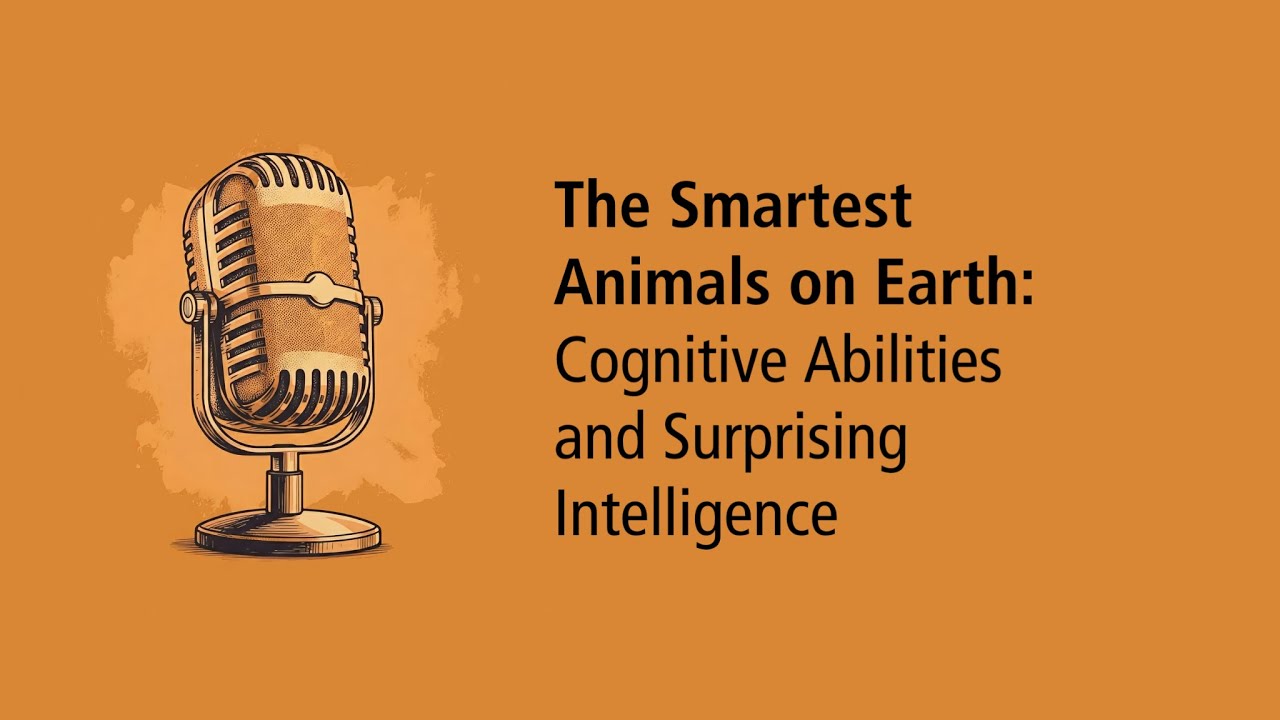 The Most Intelligent Animals on Earth! (You Won't Believe #1) - YouTube
