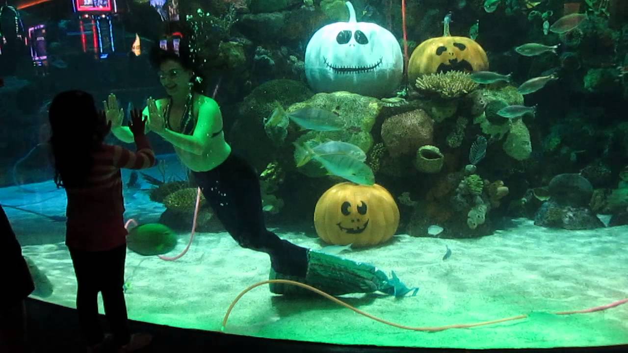 Mermaid Lounge Las Vegas - YouTube
