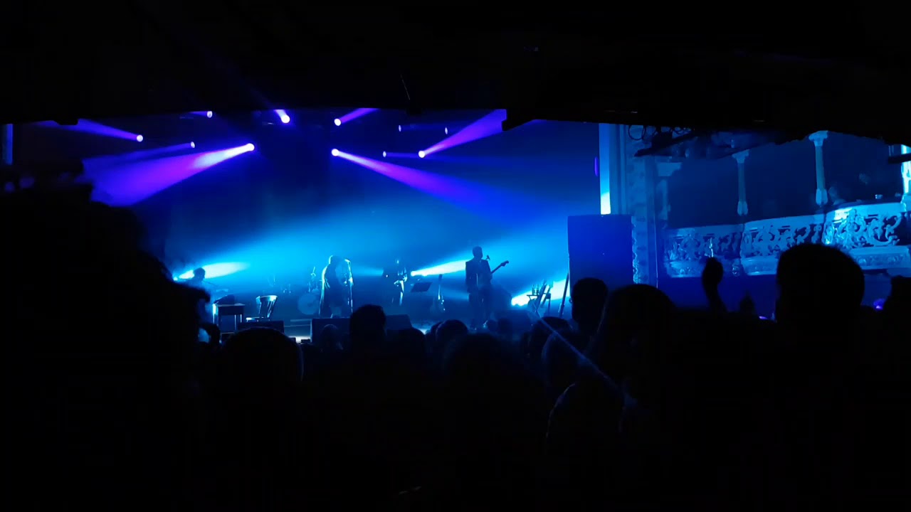 Indy Disco Divine Comedy Olympia Dublin - YouTube