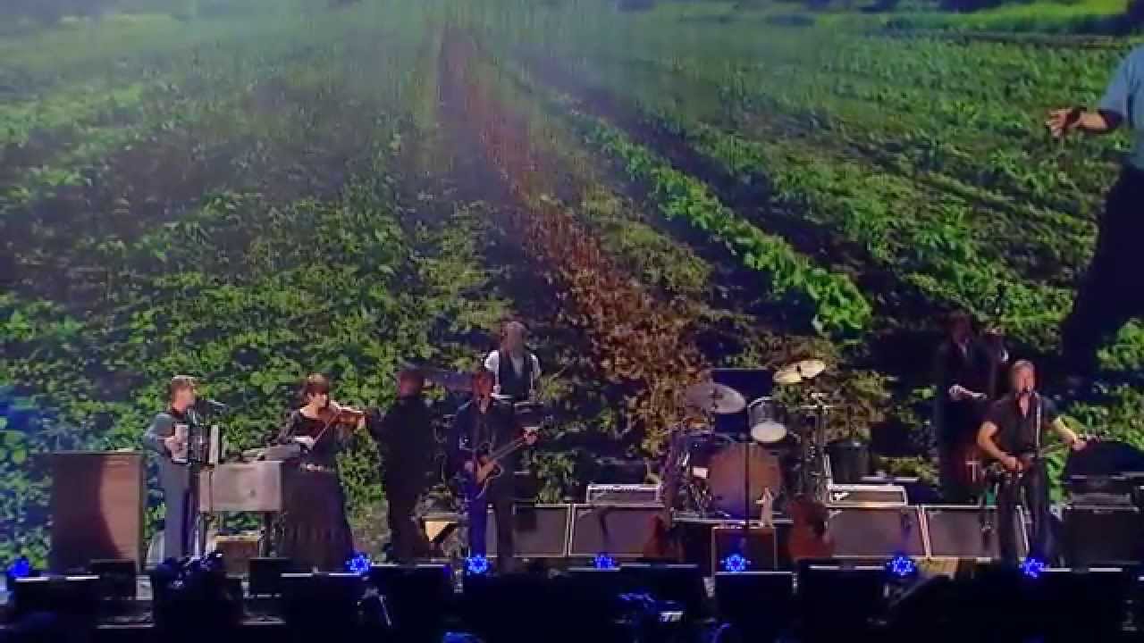 John Mellencamp - Check it Out (Live at Farm Aid 2014) - YouTube
