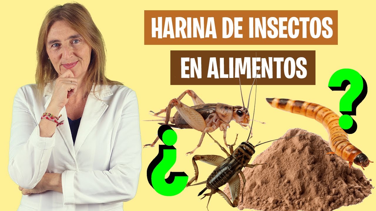 DESCUBRE si tu HARINA ES DE INSECTOS | Identificar harina de insectos ...