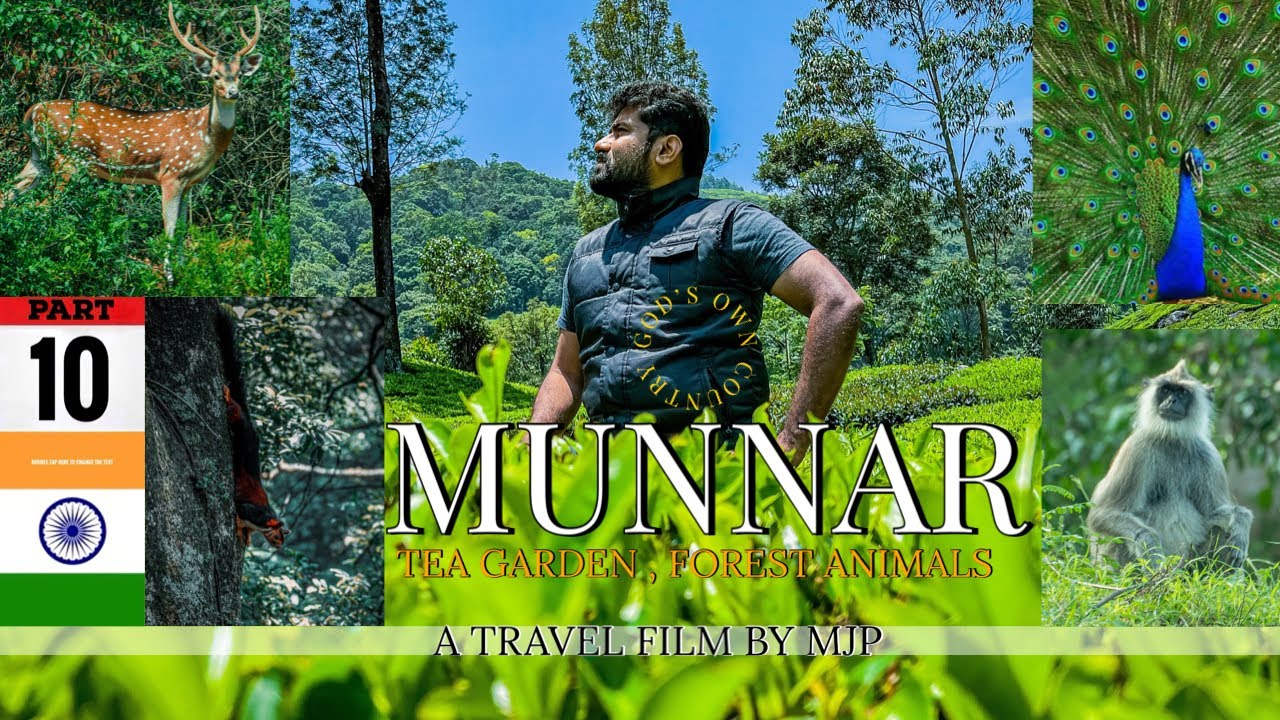 MUNNAR - TEA GARDEN , FOREST ANIMALS | @mjpframes. - YouTube