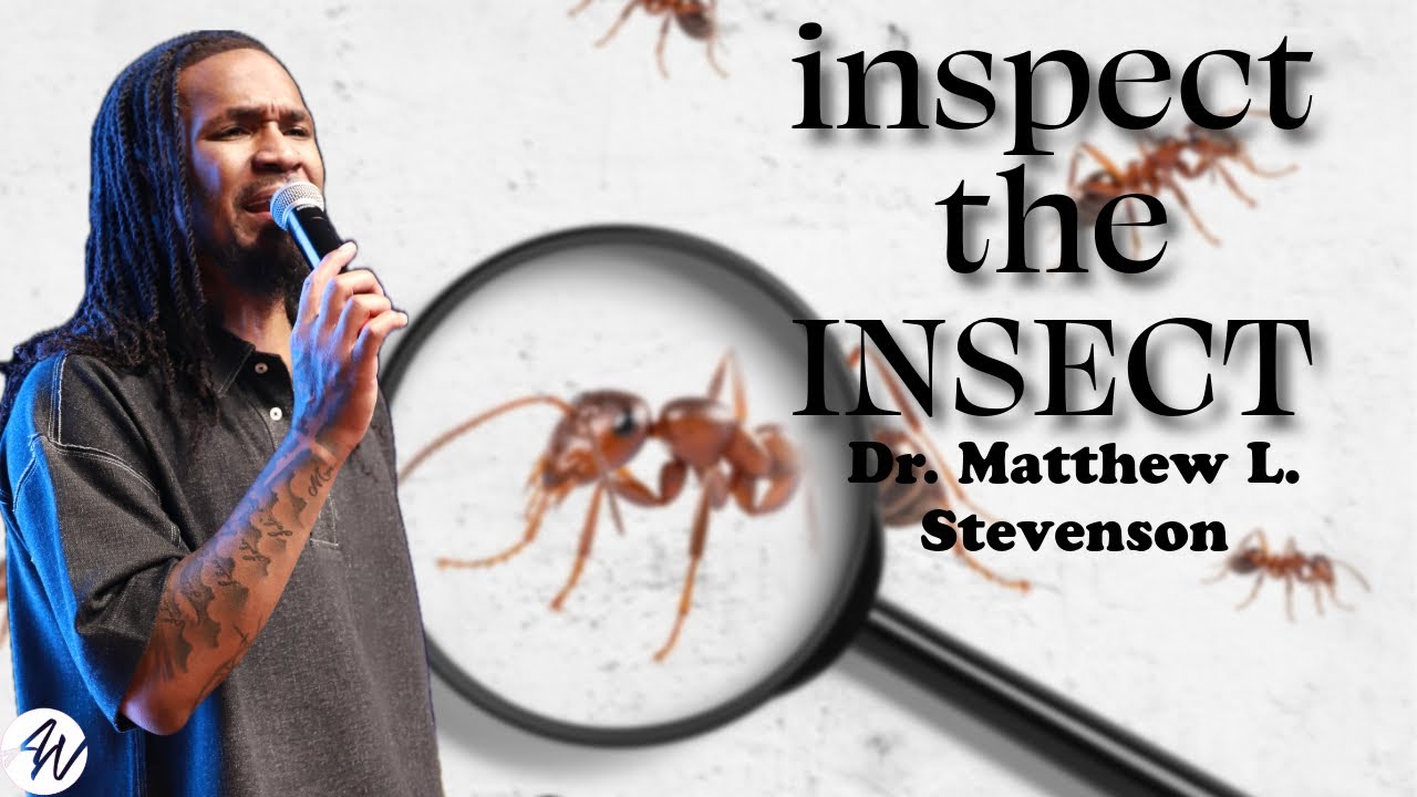 Inspect The Insect | Dr. Matthew L. Stevenson - YouTube