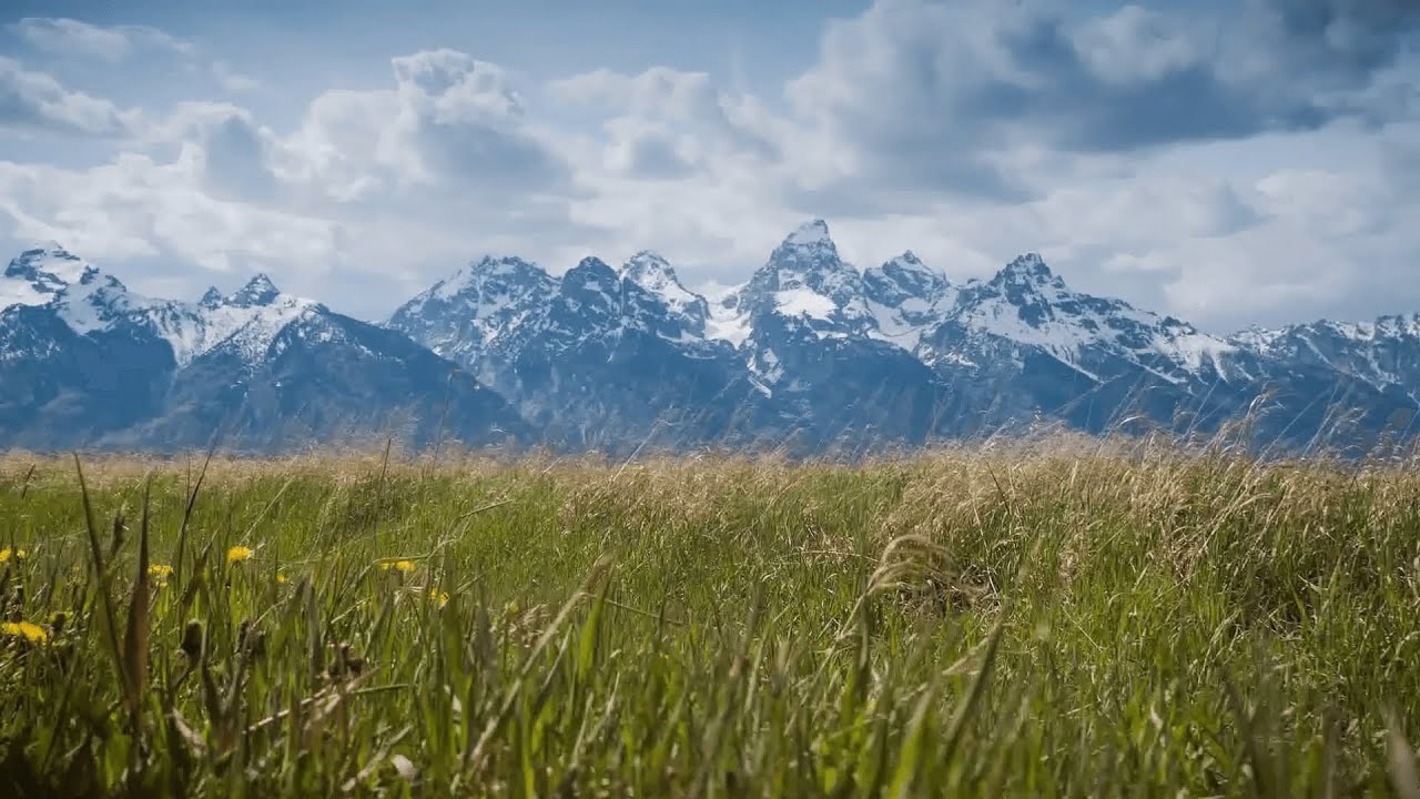 75The Church—God’s Home and Our Home - YouTube