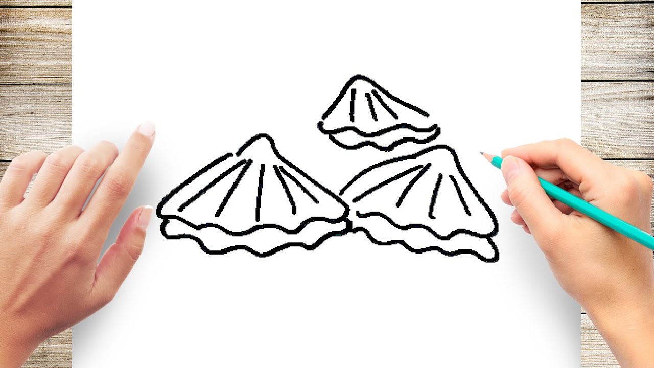 How to Draw Oyster Step by Step for Beginner - YouTube
