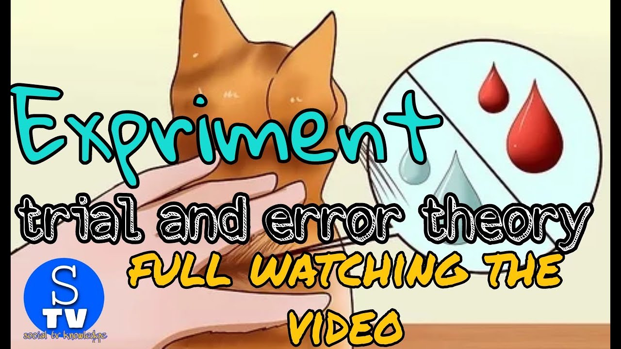 Edward Thorndike: The Law of Effect .Thorndike experiment the social tv ...