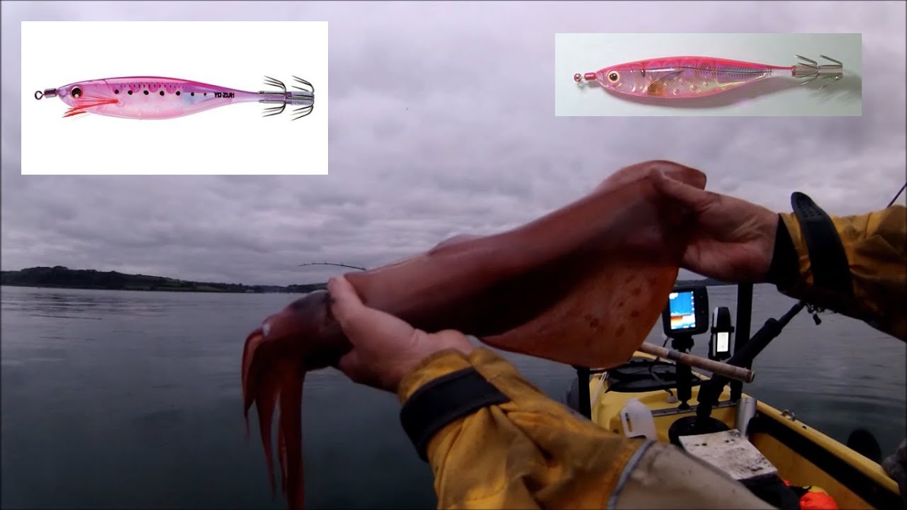 My Most Successful Squid Fishing Rig + Best Squid Jigs and Jig Colours ...
