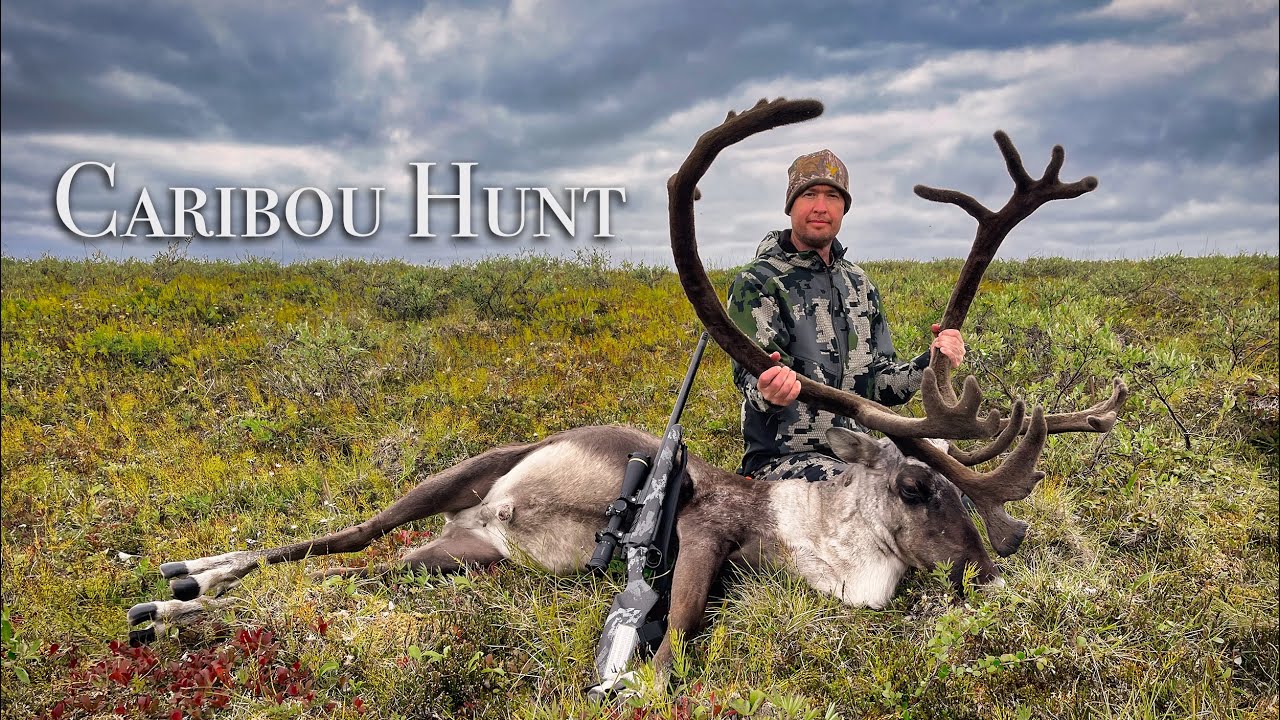 ARCTIC CARIBOU : DIY FATHER n SON HUNT : FLY OUT - YouTube