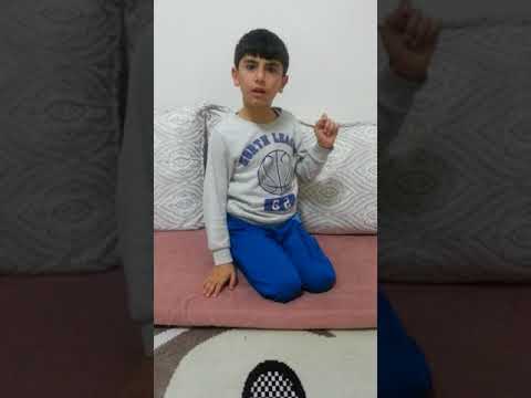 Azad-ZIT ANLAMLI KELİMELER
