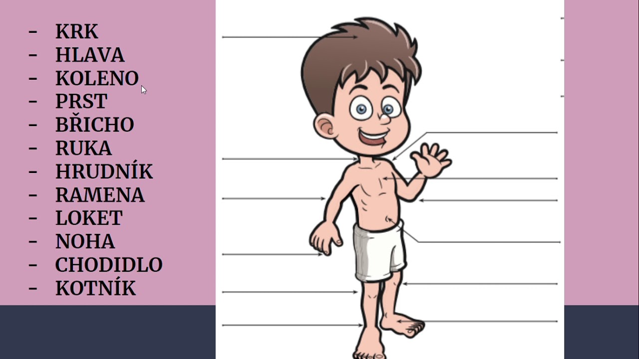 1. Tř. - Prvouka 18. 5. - opakování lidské tělo a obličej - YouTube