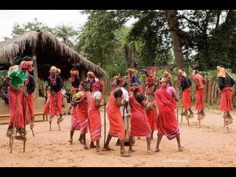 HD video chhattisgarh folk dance (Indian tribal dance) SUA NACH Parrot ...
