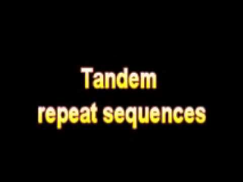 What Is The Definition Of Tandem repeat sequences - YouTube