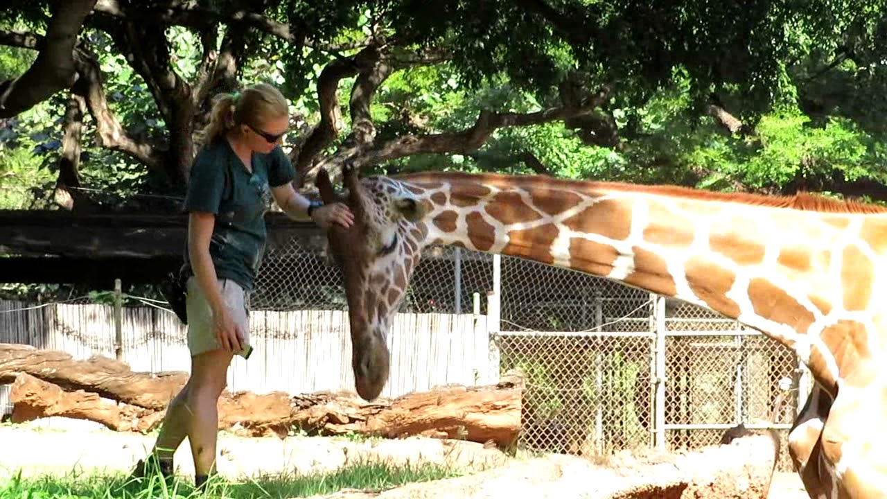 Honolulu Zoo in Oahu Hawaii - YouTube