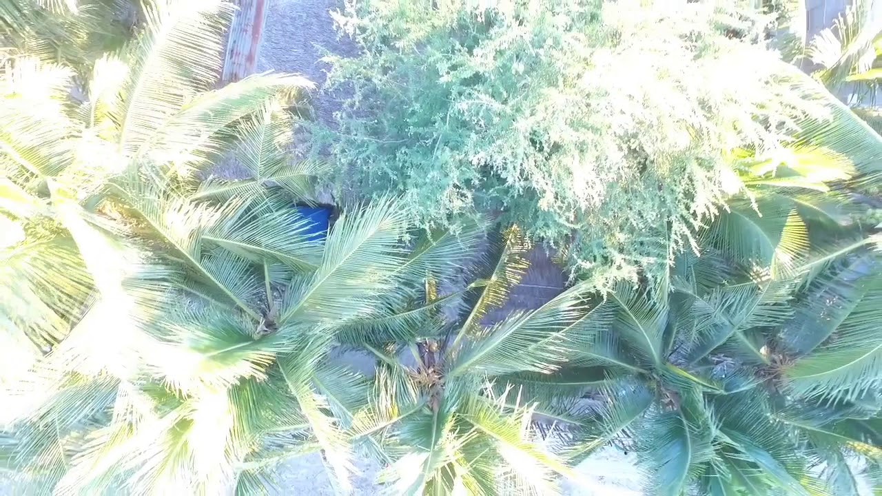 nalvo beach(sta.maria ilocos sur)with team omat workz - YouTube