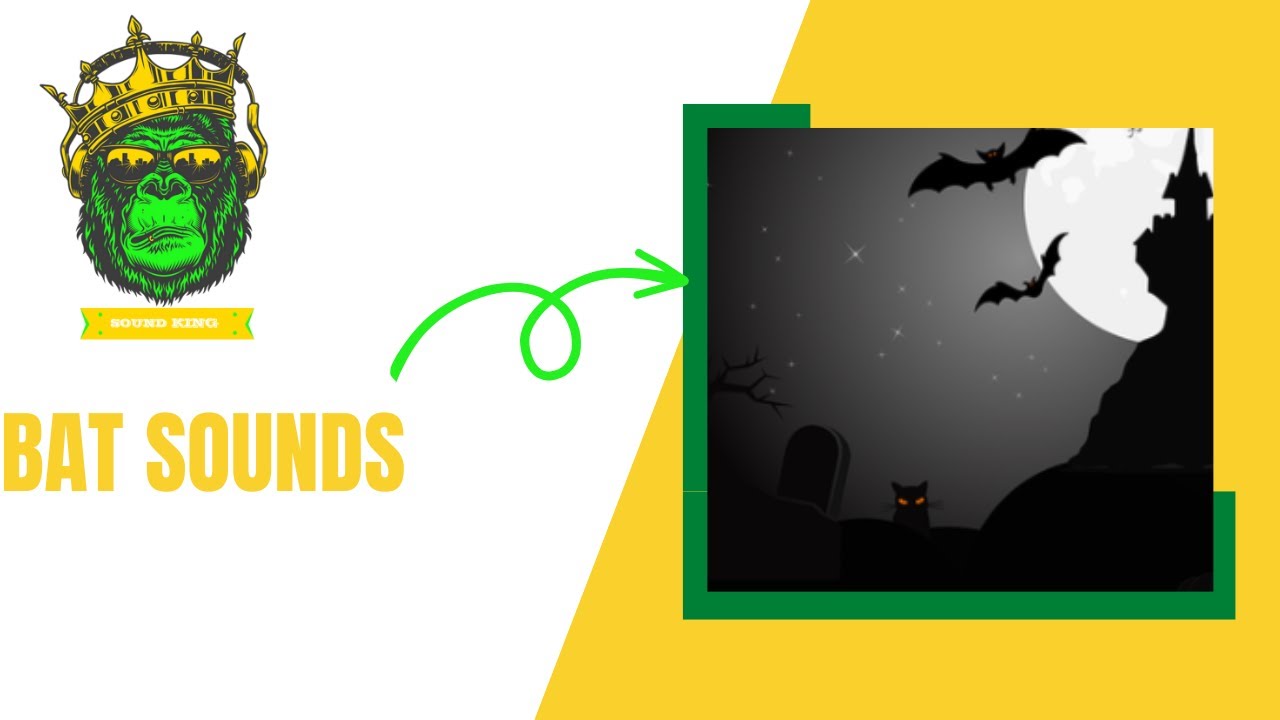 Sound Effect/ Bat Sounds - YouTube