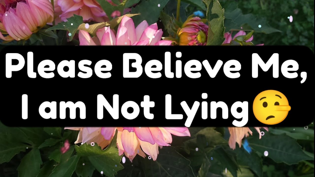 Channeled Message From Your Specific Person Timeless, Please Believe Me ...