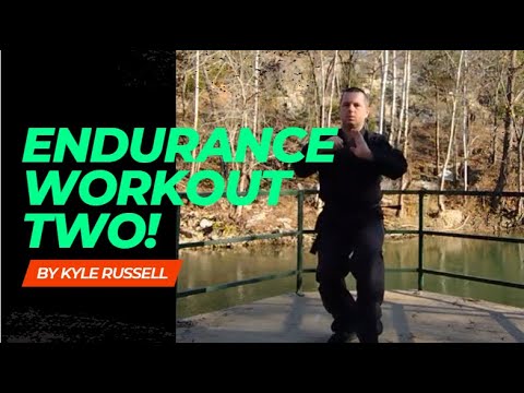 Endurance Workout 2: Free Exercise Lessons from a Kung Fu Martial ...