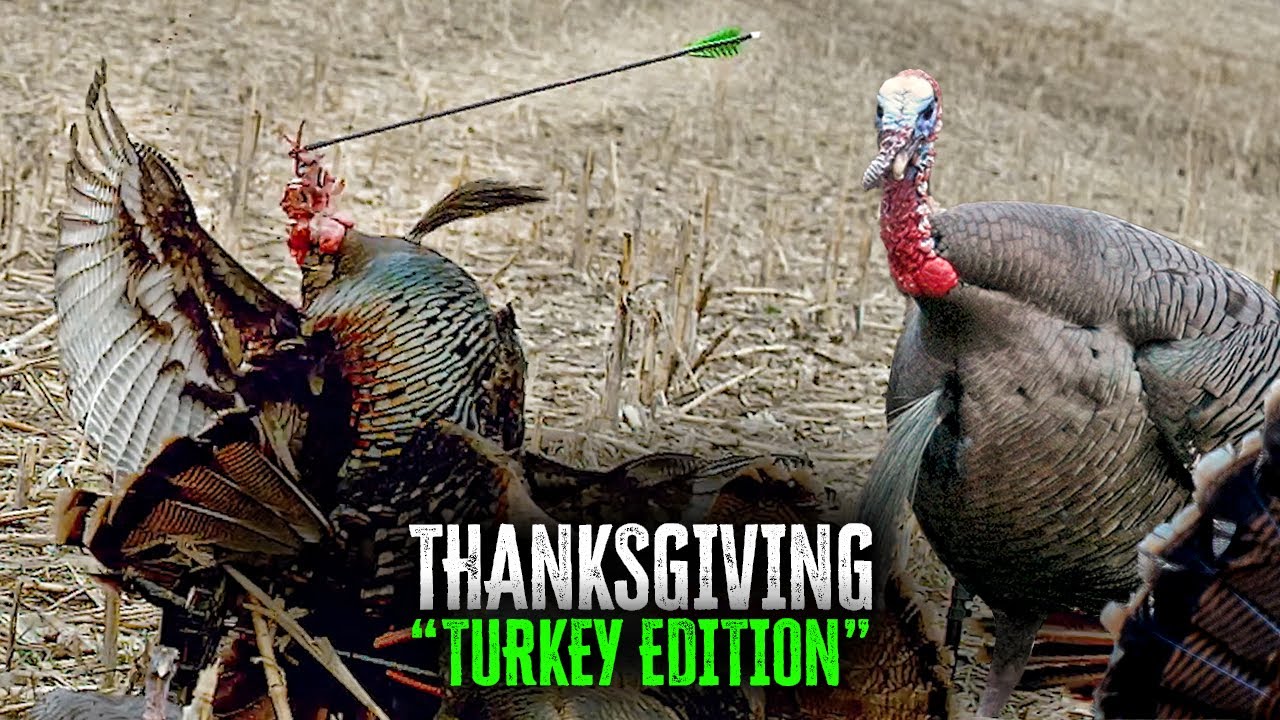 Turkey Bow Hunting Compilation #turkey #archery #slowmotion #slomo ...