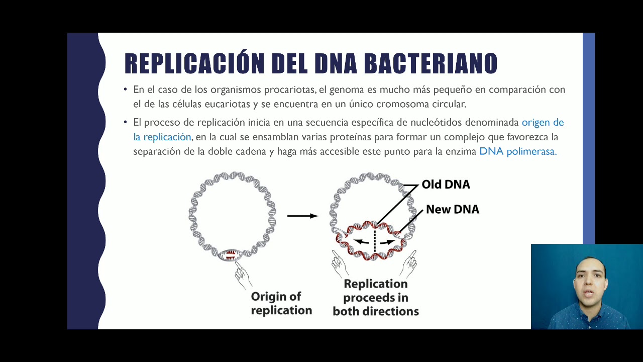 Inhibidores de la replicación bacteriana-Parte 4 Replicación del DNA ...