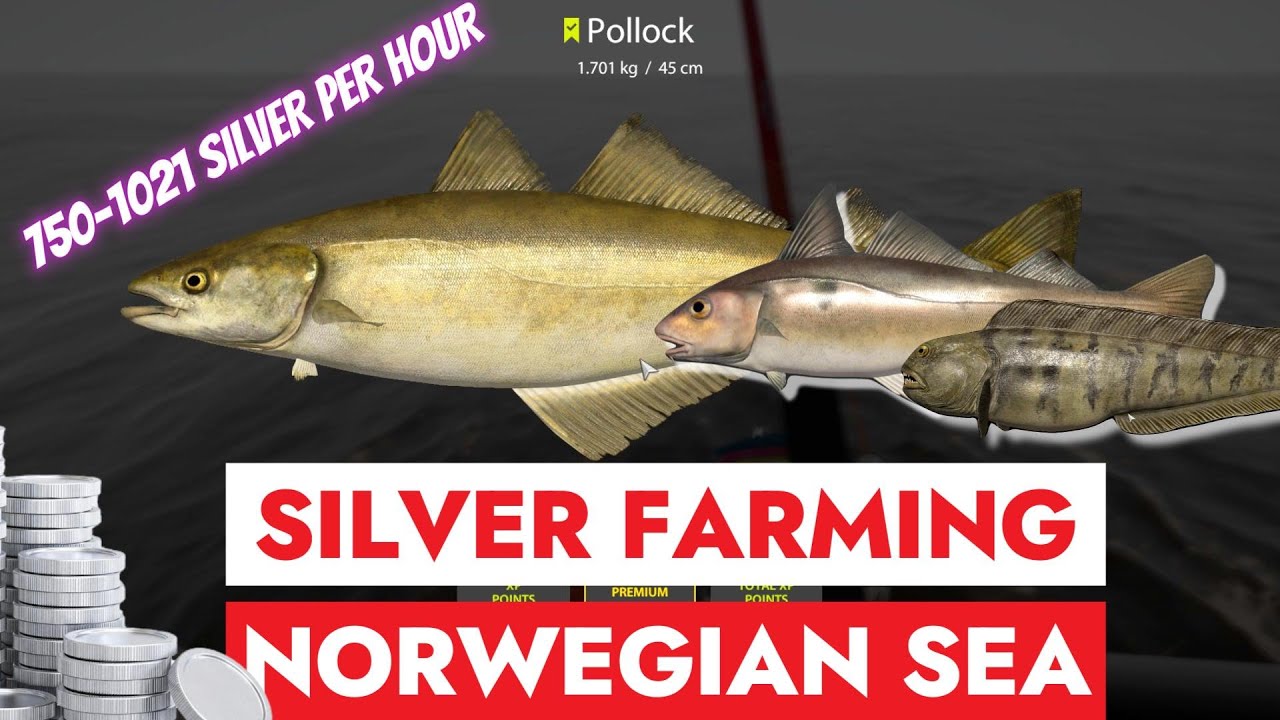 RUSSIAN FISHING 4 - RF4 - SILVER FARMING AT NORWEGIAN SEA - YouTube