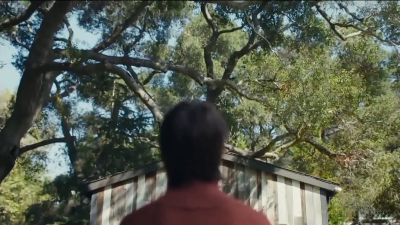 RYZE Mushroom Coffee Commercial #5 (2025) - YouTube