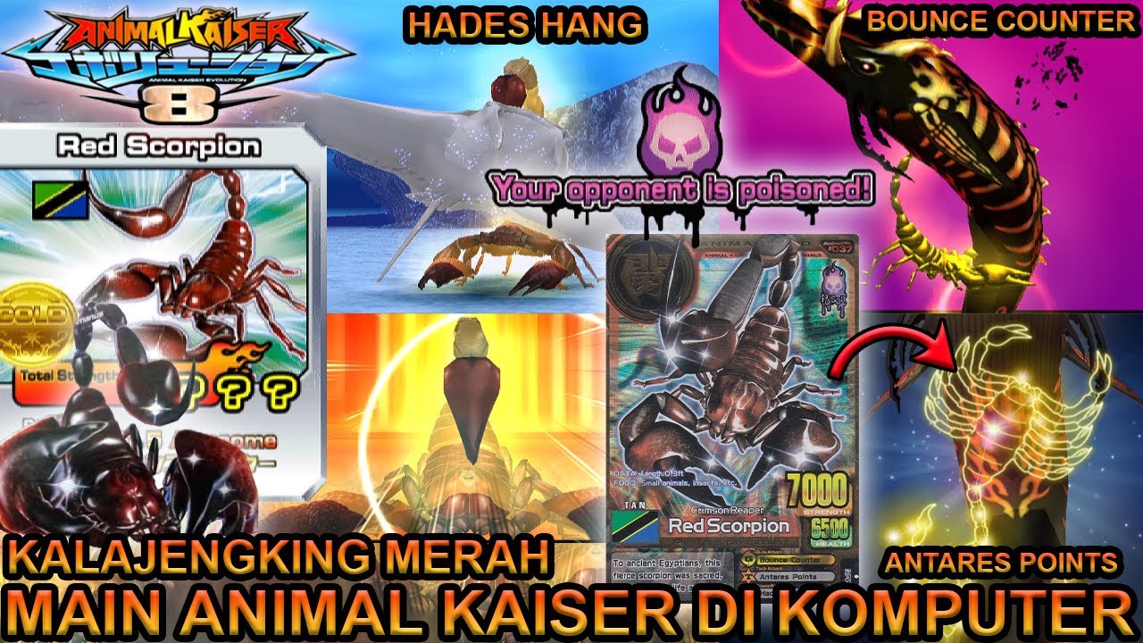 TOTOKAN KALAJENGKING MERAH RED SCORPION DI KOMPUTER !!! - ANIMAL KAISER ...