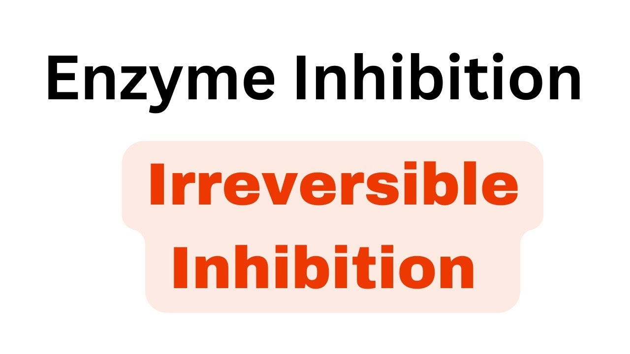 Enzyme Inhibition|Irreversible Inhibition|Enzyme Kinetics|Derivation ...