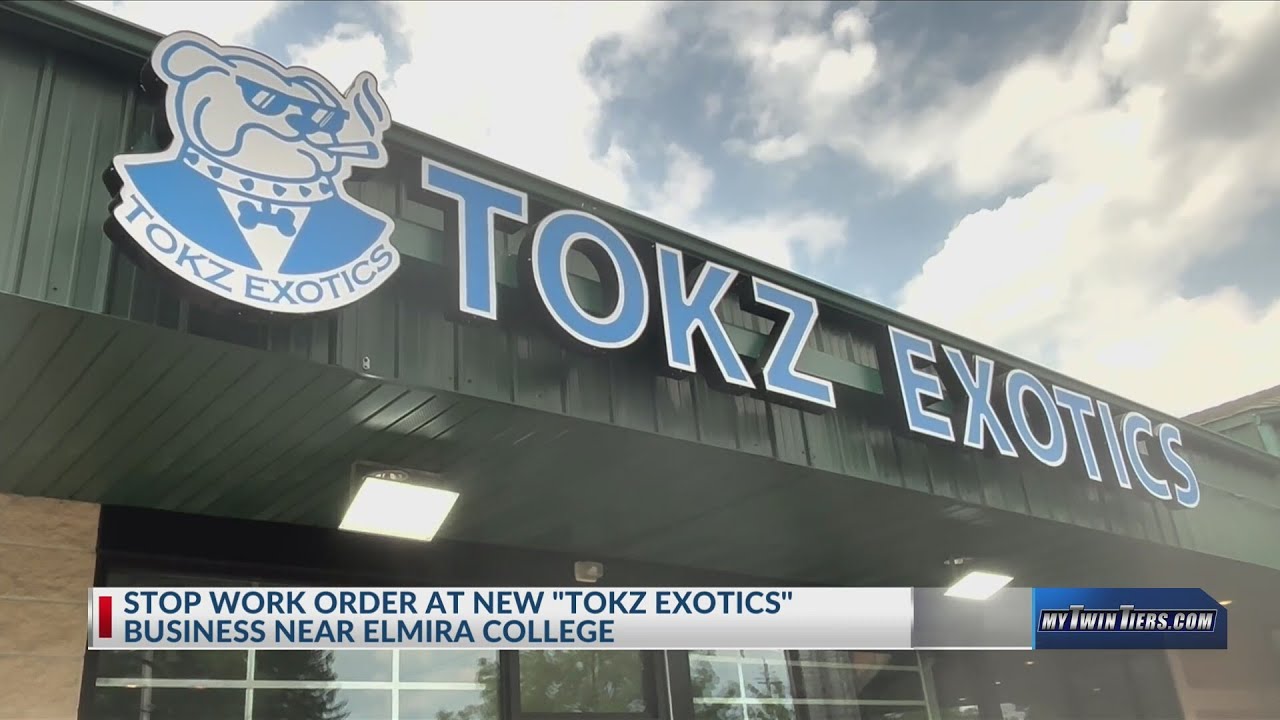 Stop work order at new "Tokz Exotics" near Elmira College - YouTube