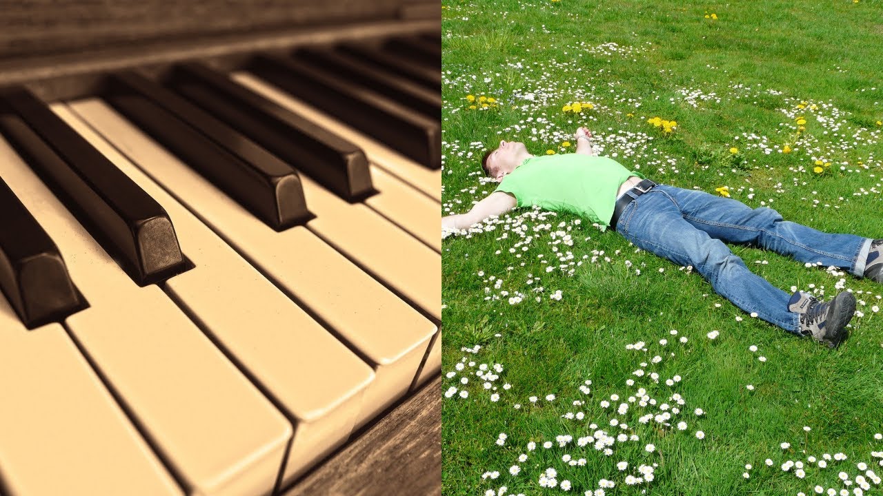 Piano Relaxation : Piano Meditation : 20 minutes of piano music - YouTube